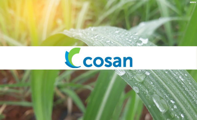 Cosan (CSAN3) testa suporte decisivo após queda e pode iniciar virada ...