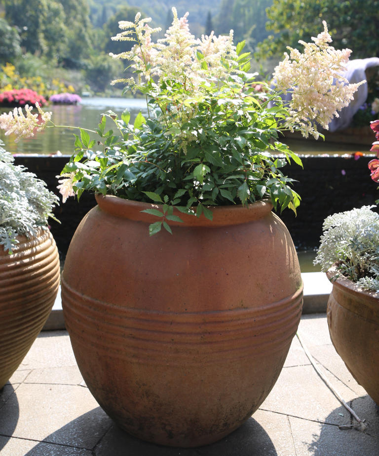 An easy way to fill the bottom of a large planter without spending on ...