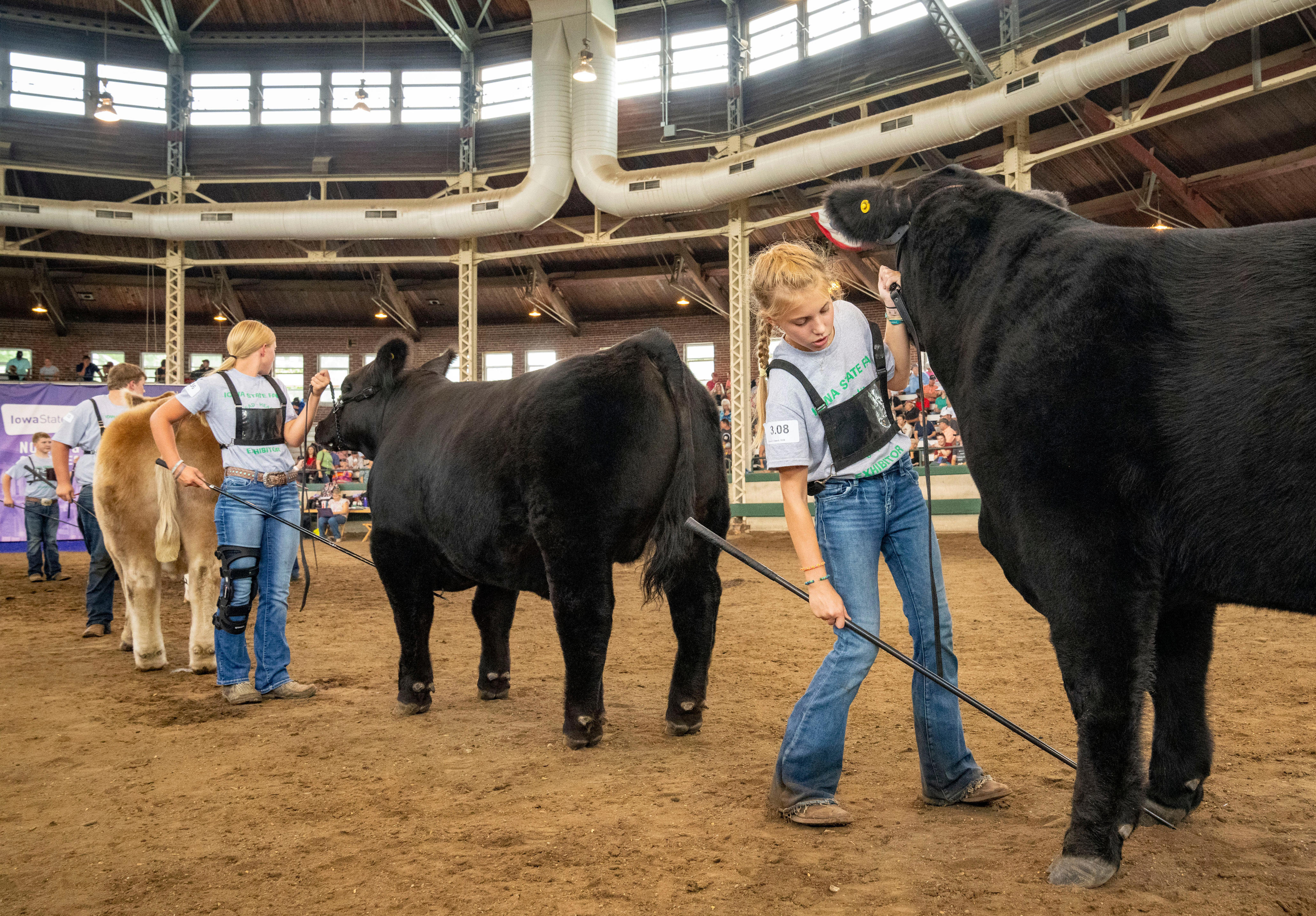 Want to win an Iowa State Fair blue ribbon? Contest and competition ...