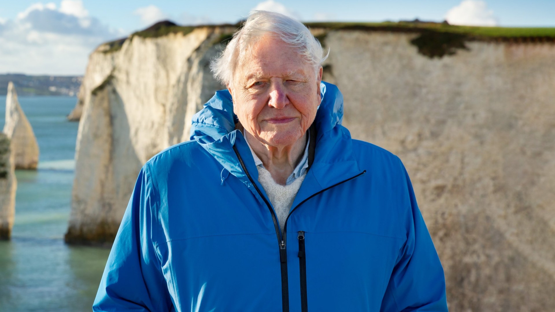 Exciting news David Attenborough fans - his next TV series is 'weeks away'