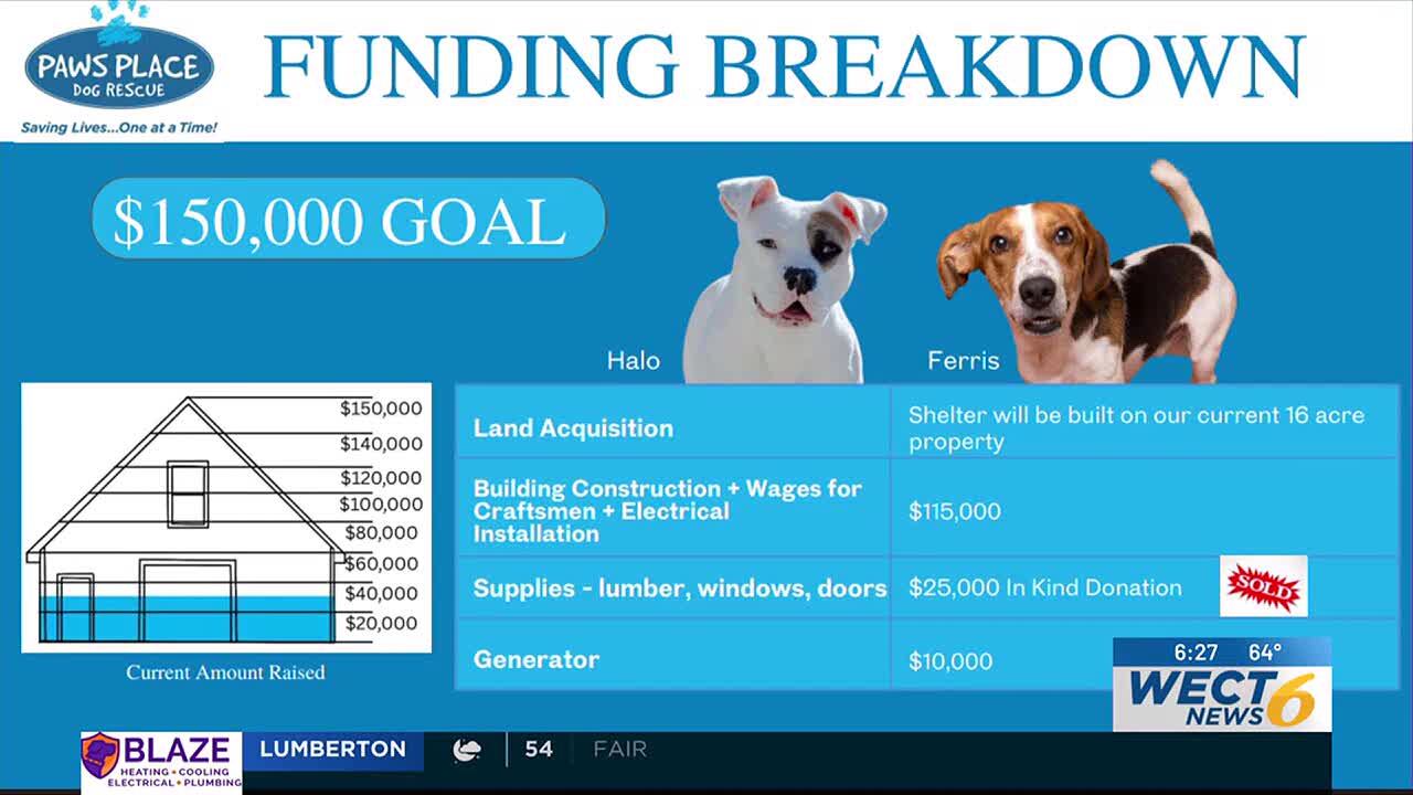 INTERVIEW: Paws Place Dog Rescue launches fundraiser for Storm Shelter ...