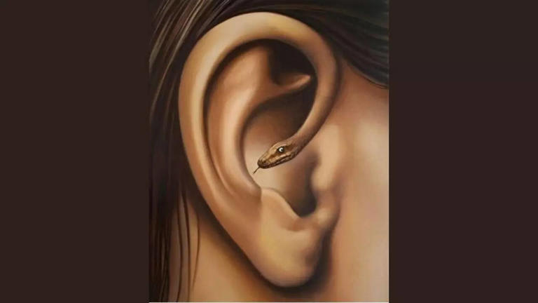 Optical illusion personality test: Snake or ear? What you spot first ...