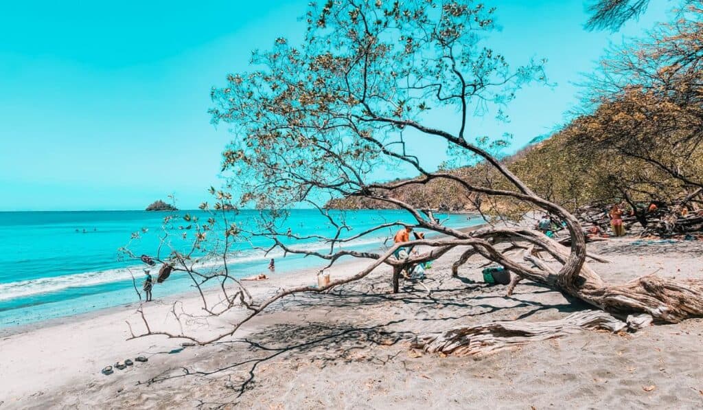 Weather in Playa Flamingo, Costa Rica by Month