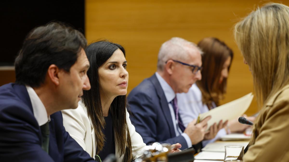 Las enmiendas de Vox a la renta valenciana de inclusión: primera prueba de fuego para el PP