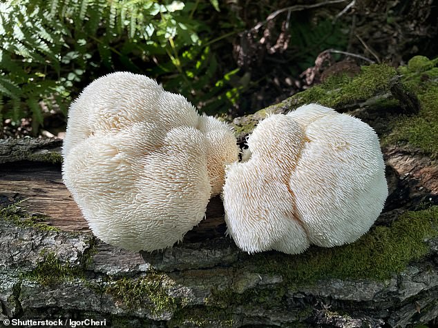 Boots targets Gen Z with TikTok-inspired supplements range featuring ...