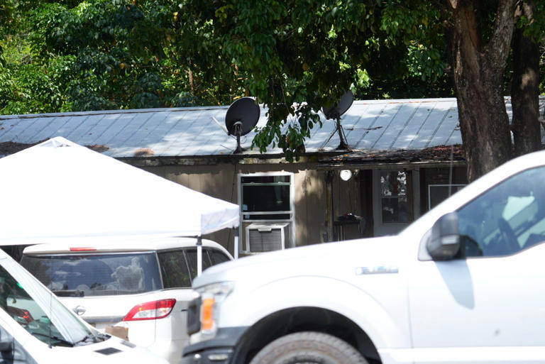 One person, dog dead in Collier County bear mauling; officials haul ...