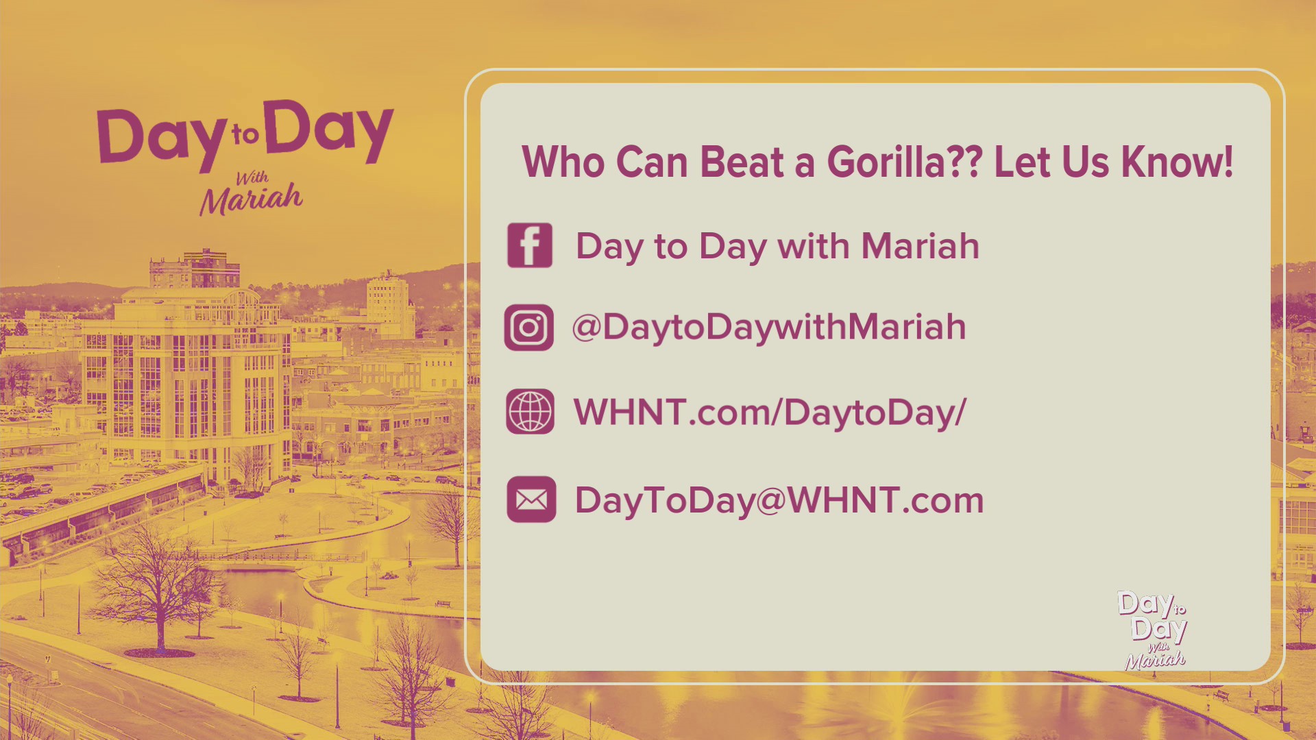 Mariah's Top 5 Picks for a Fight Against a Gorilla | Day to Day with Mariah