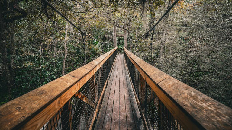 One Of Florida's Best State Parks Is An Underappreciated Garden ...