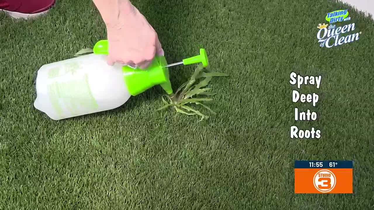 Queen of Clean | Natural way to kill weeds