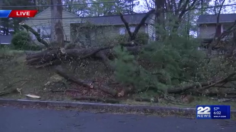 Springfield continues storm cleanup after heavy rainfall