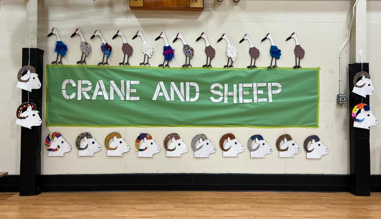 Wings, wool and wonder: Faro celebrates annual crane and sheep festival