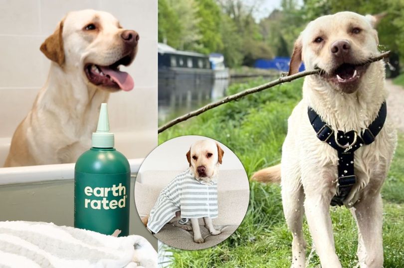 I tried the 'game changer' dog shampoo that keeps my dog 'puppy soft ...