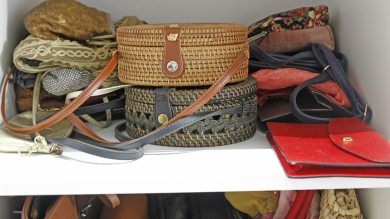 Check These Places In Your House Immediately If Your Indoor Cat Goes ...