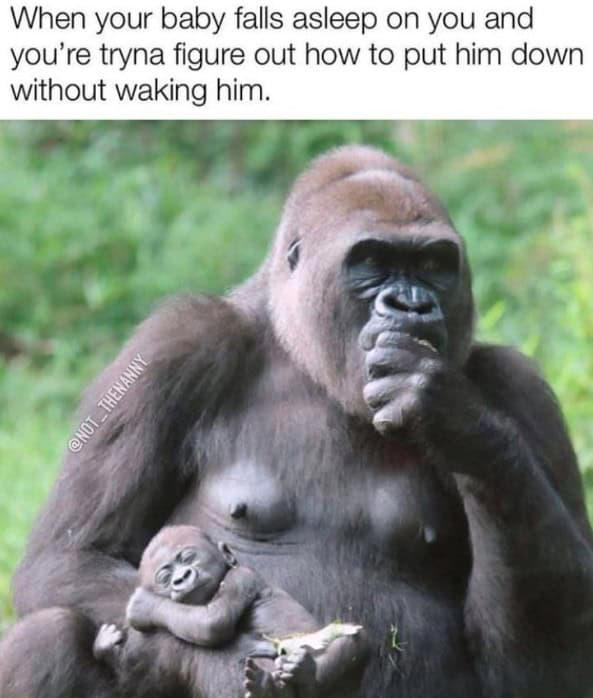 30 Funny Parenting Memes That Capture The Chaos Of Raising Tiny Humans ...