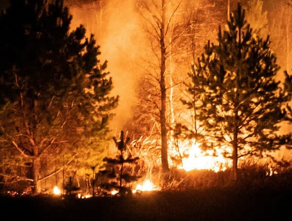 Florida Officials Urge Vigilance Against Arson During Arson Awareness Week