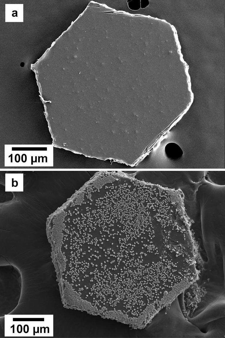 Glitter's sparkle hides a darker side—it can change the chemistry of ...