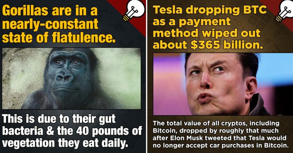 27 Trivia Tidbits For Your Thursday