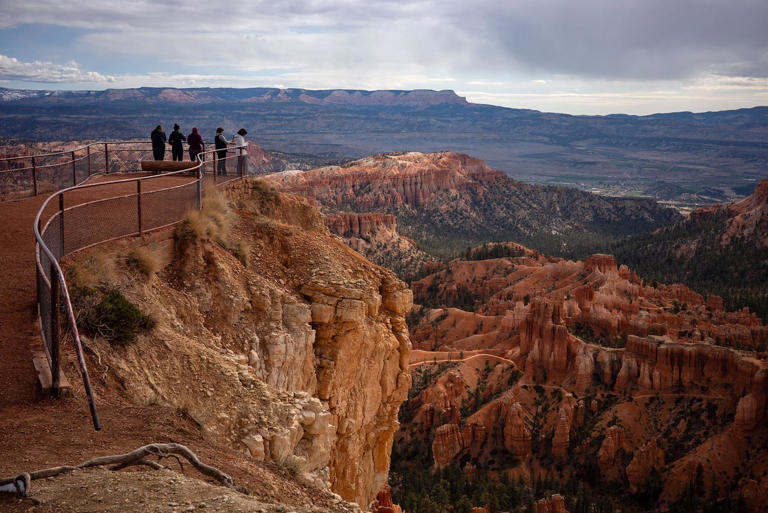 Cat survives nearly 400-foot fall at Utah national park that killed its ...