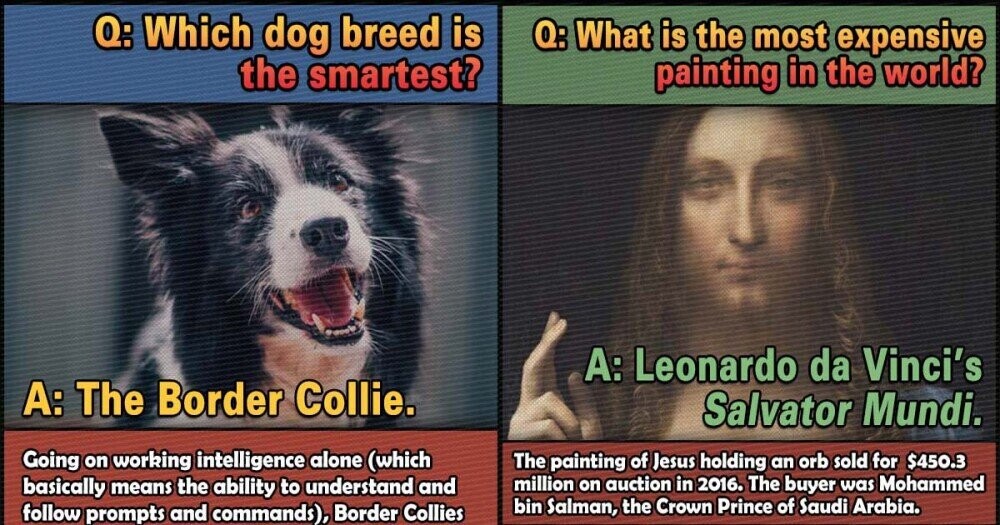 13 Questions We've Been Looking Forward To Answer For You