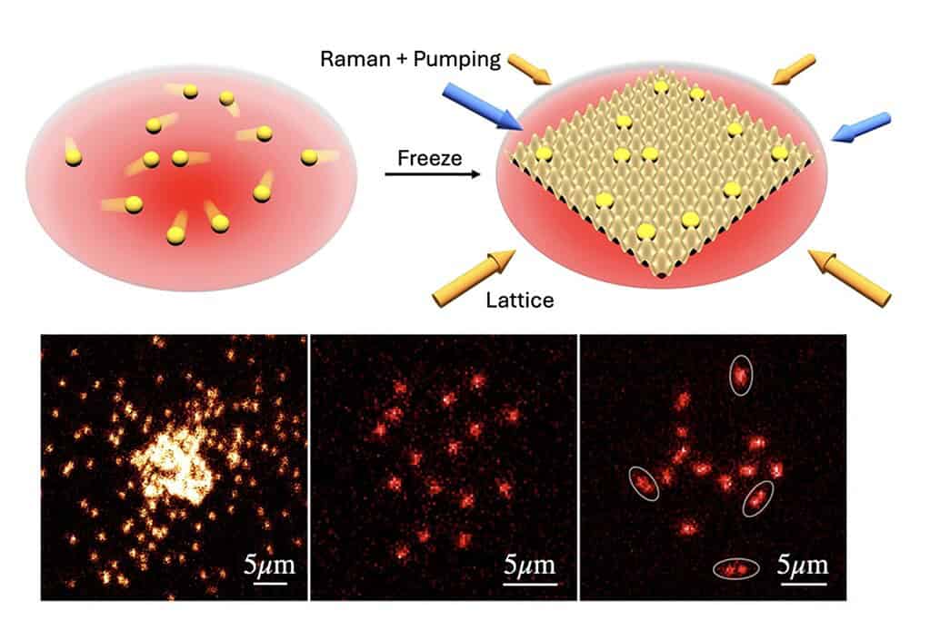 Scientists Have Taken the First Ever Photos of Atoms Interacting in ...