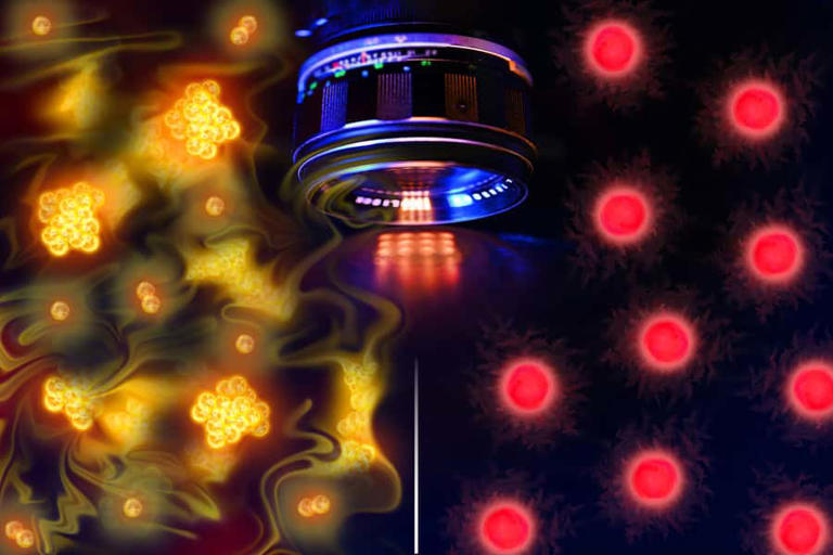 Scientists Have Taken the First Ever Photos of Atoms Interacting in ...