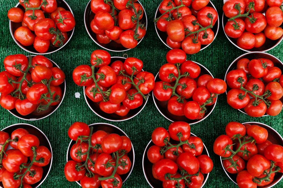 Tomato recall elevated by FDA due to heightened risk of illness and death