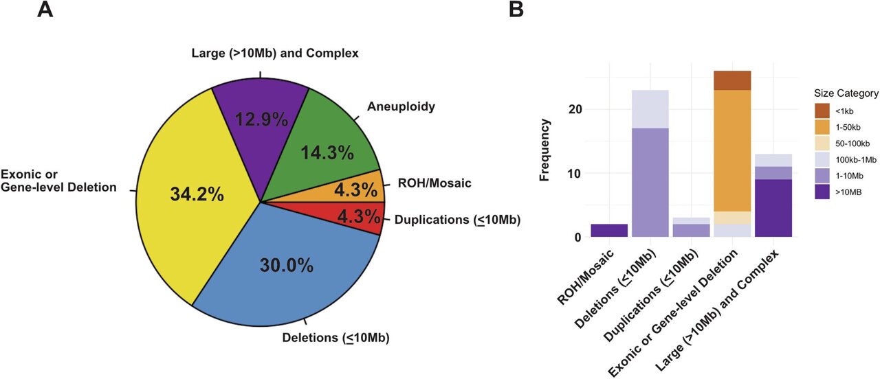Using Exome Sequencing To Analyze Copy Number Variants Can Increase