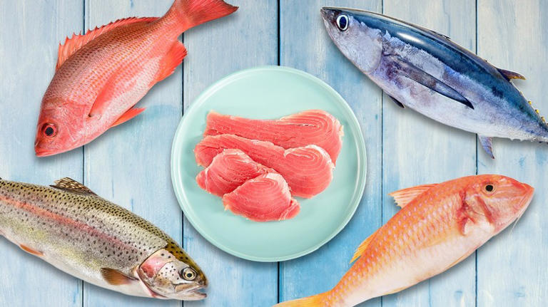 12 Types Of Red Fish, Explained
