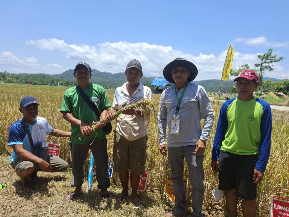 Cagayan Valley promotes hybrid