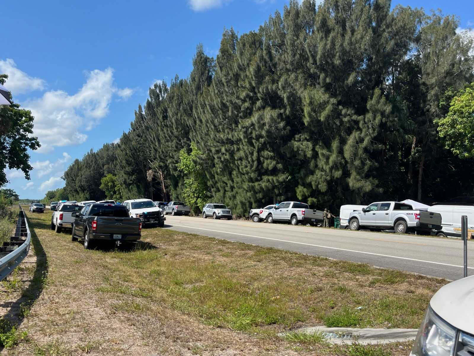 Man dies after 'bear encounter' in Collier County, FWC investigating