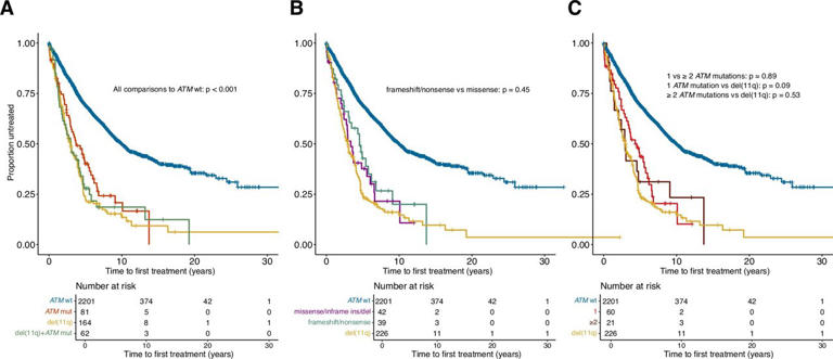 ATM mutations alone do not predict early treatment need in chronic ...