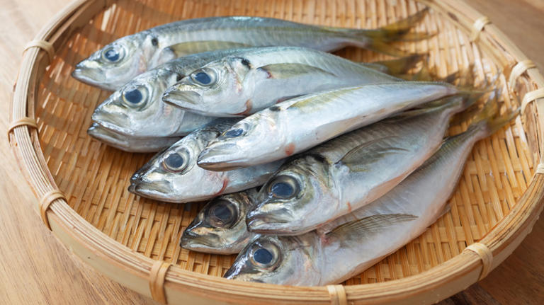 12 Types Of Red Fish, Explained