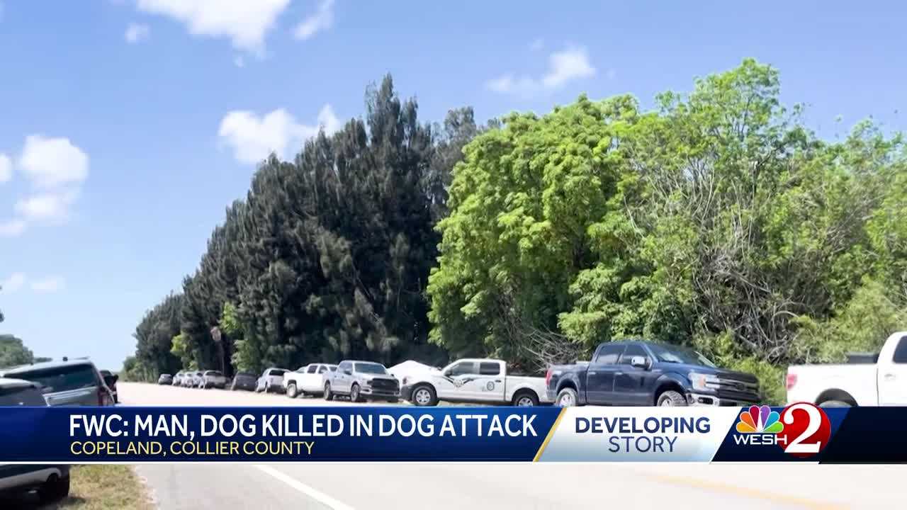 Florida man dies after 'bear encounter' in wooded area