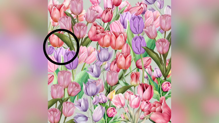 Optical illusion: Only 1% of people can spot the pearl necklace in just 11 seconds; Can you?