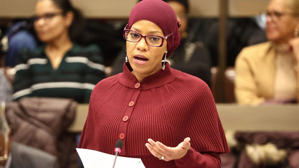 Boston City Councilor Tania Fernandes Anderson pleads guilty to federal ...