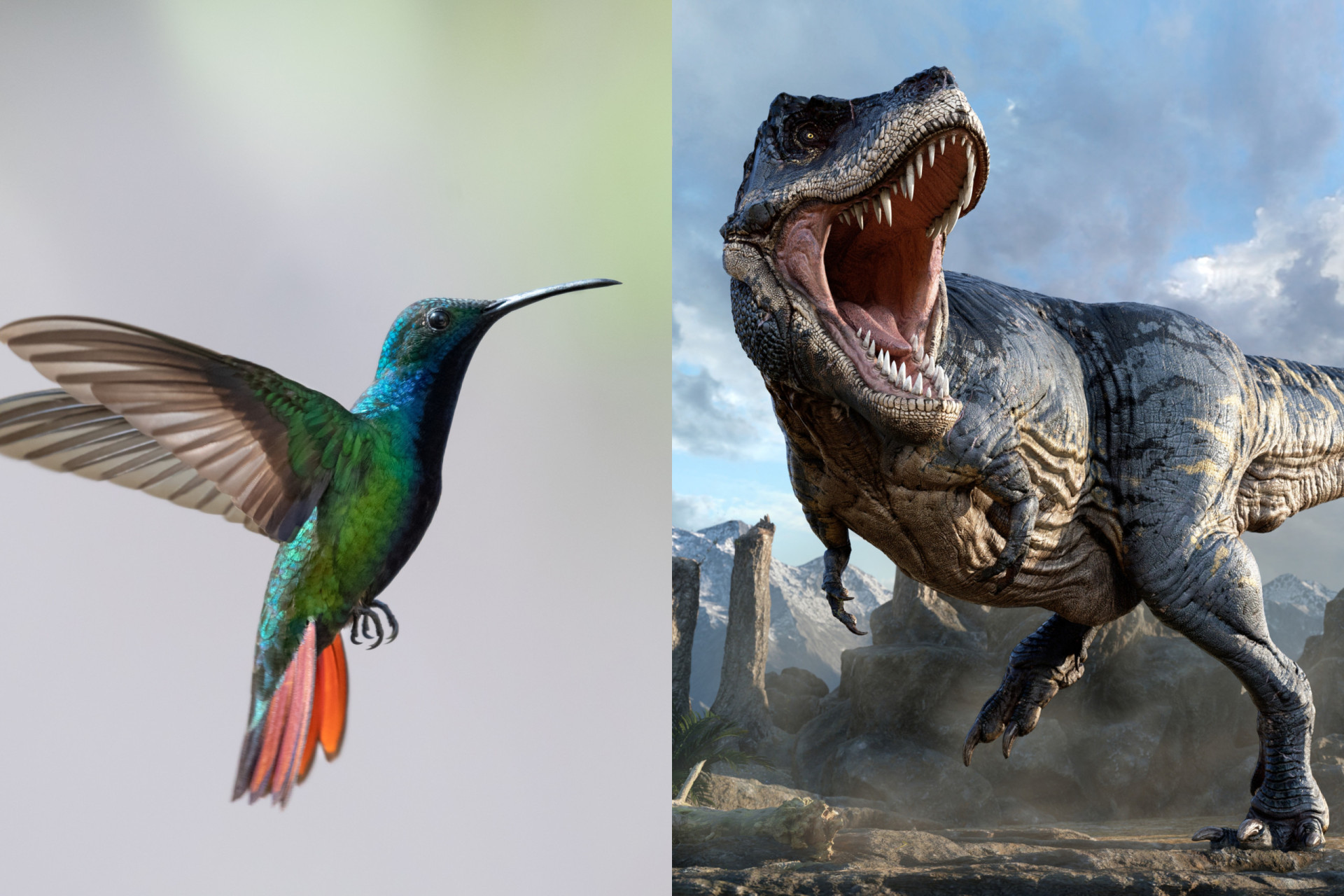 Comment les dinosaures ont-ils pu atteindre une telle taille
