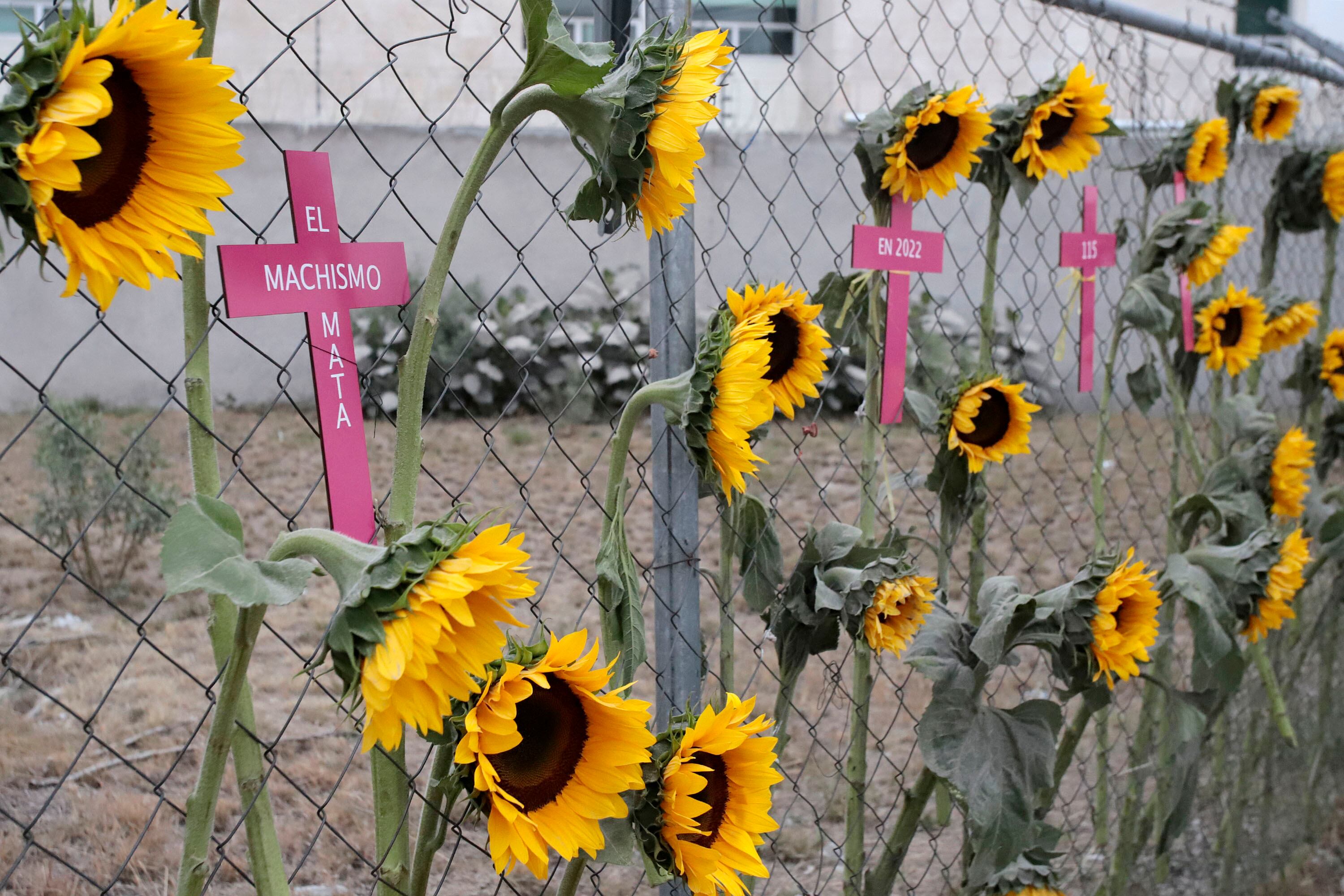 Urgen sentencia contra Javier N. y aliados por feminicidio de Ceci ...
