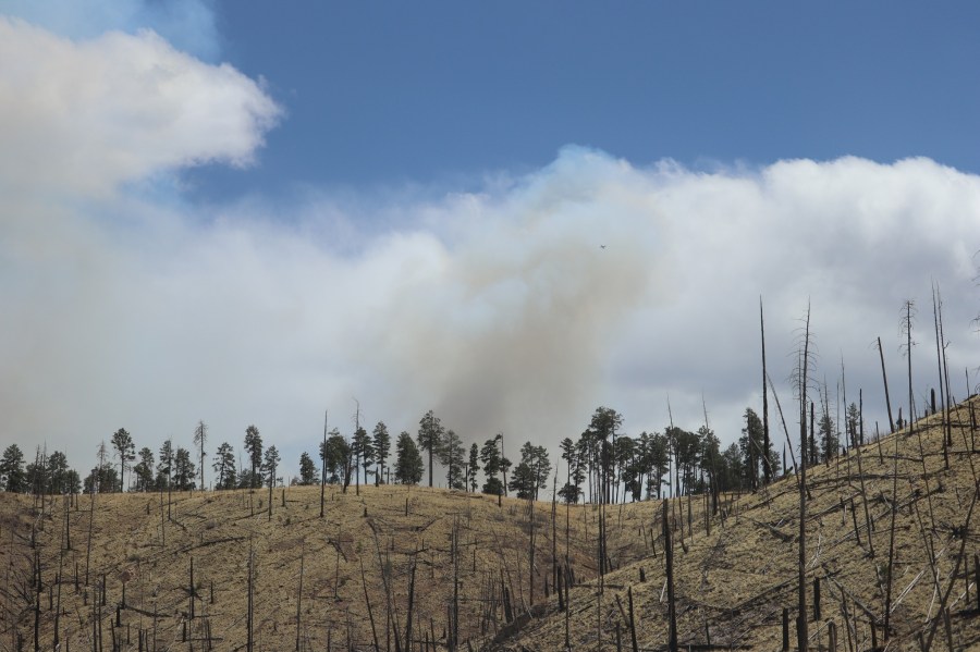 Iron Fire shows ‘no significant’ growth in Gila Wilderness