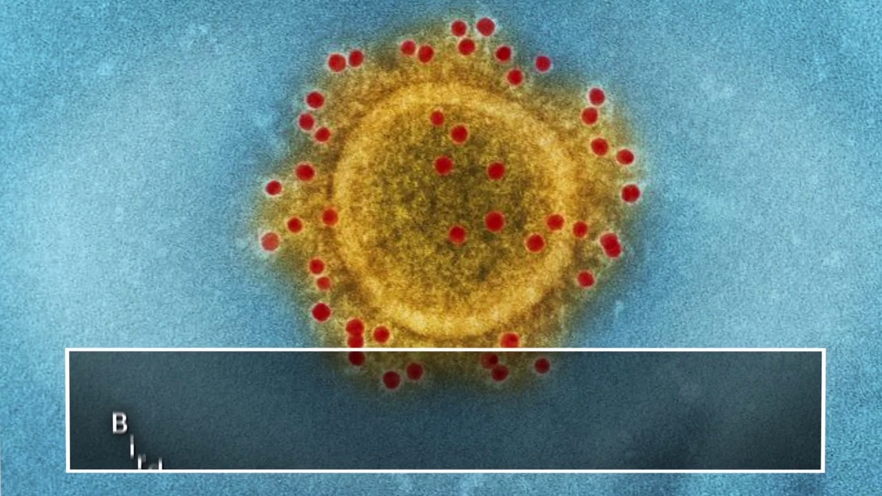 How do viruses spread?