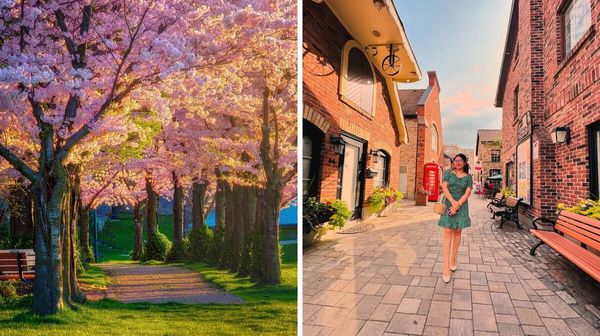 This Ontario destination has a magical cherry blossom trail and a ...