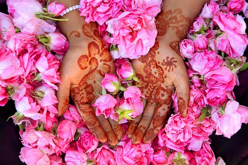 Kelâat M’Gouna: La jeune Fatima Zahra El Barmaki couronnée "Miss Rose 2025"