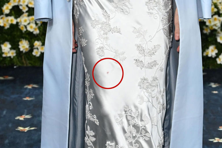 Eagle-eyed fans spot mystery stain on Anna Wintour’s custom Met Gala gown