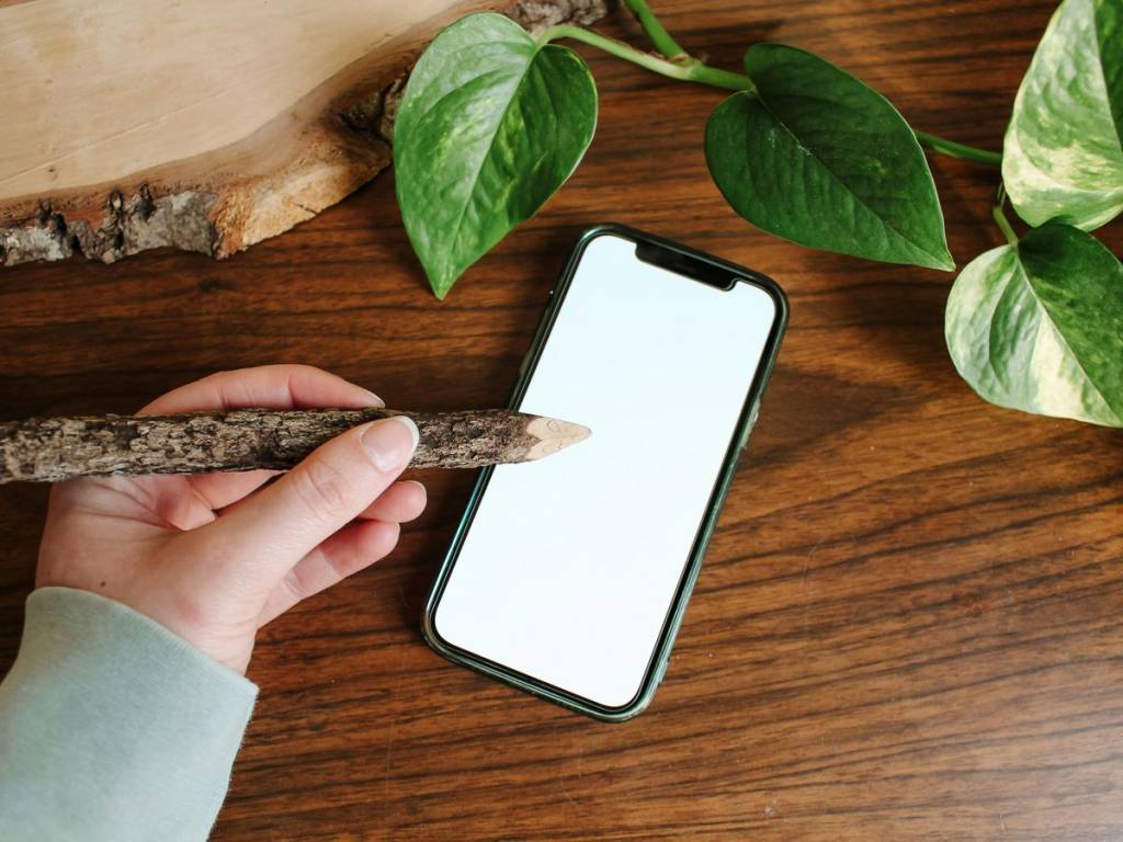 Green Business: Profit from Saving the Planet