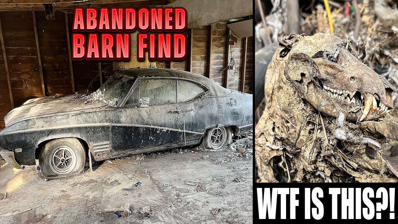 Buick Skylark Barn Find Gets First Wash in 30 Years