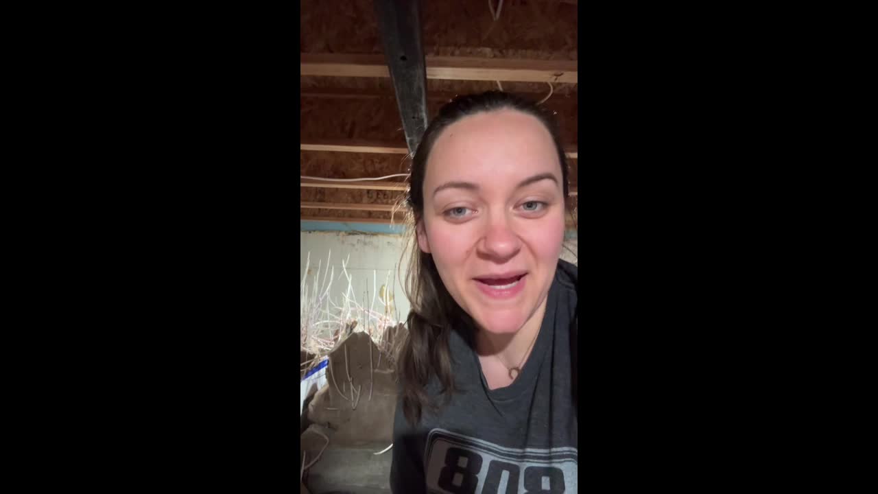 Terrifying potato overgrowth shocks millions of viewers—Reminds them of ...