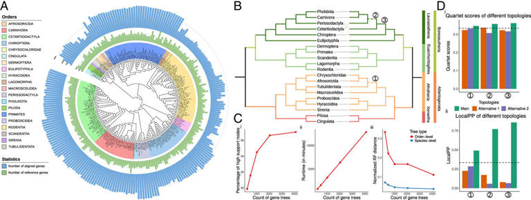 A Fully Automated Tool For Species Tree Inference