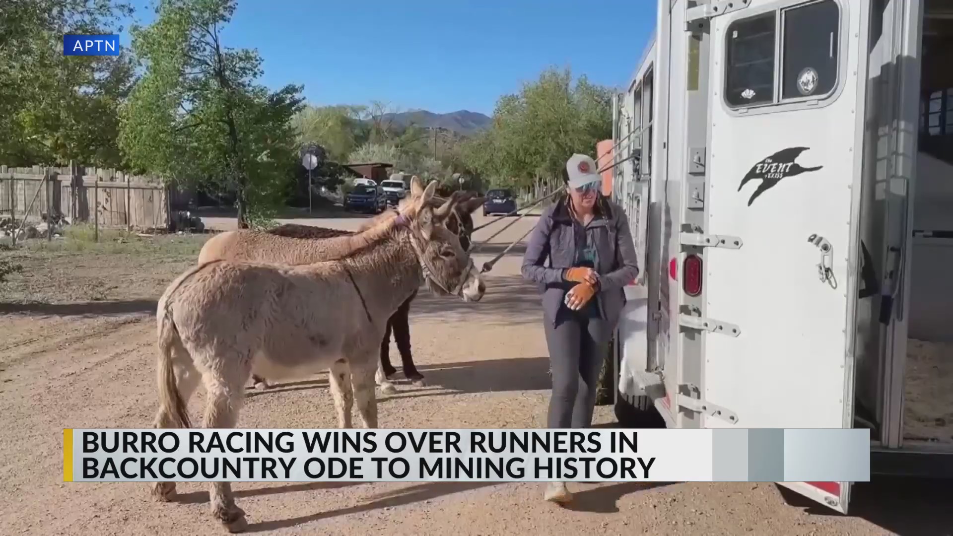 ‘It’s great running with a companion’: Cerrillos burro racing teams pair up
