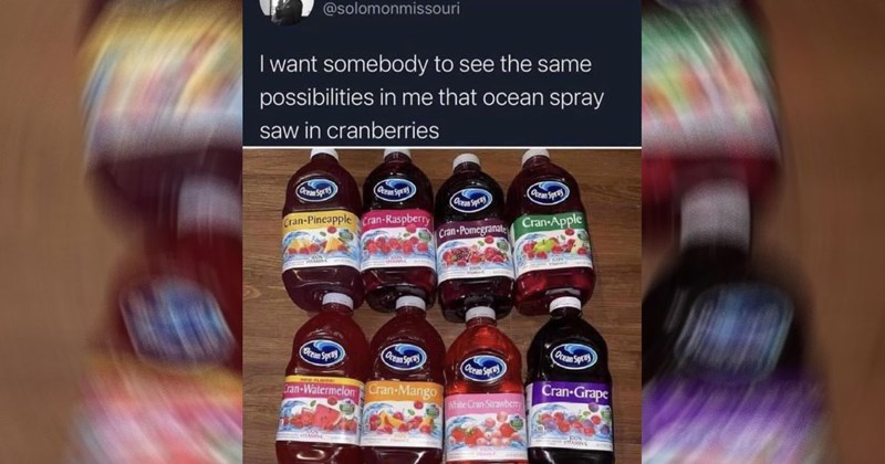 30 Memes Full of Endless Possibilities