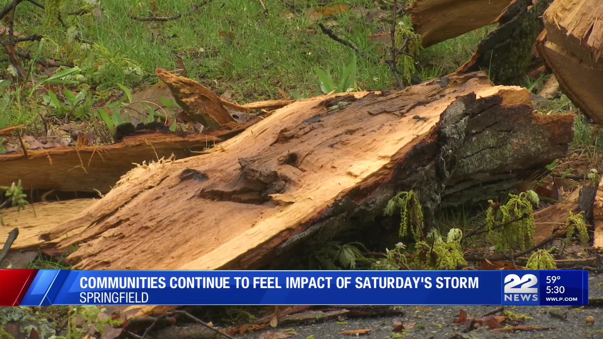 Springfield continues storm cleanup after heavy rainfall