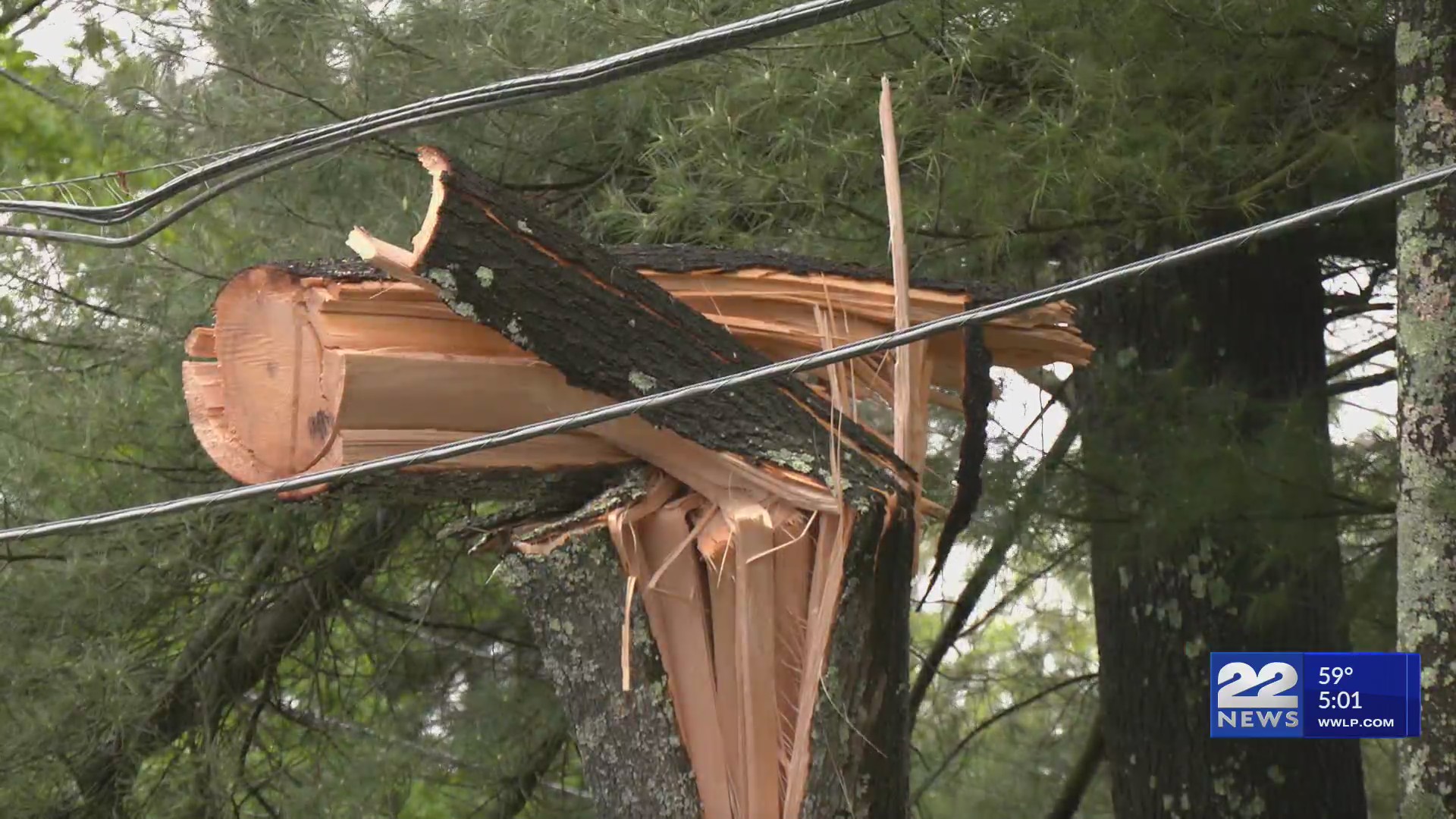 Spring storm causes power outages, tree damage over weekend
